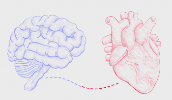 Your Feelings and your Health: The Heart and Brain Connection